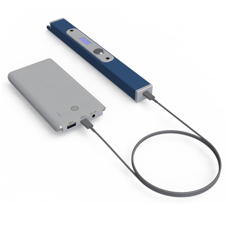 Bite Force in Vertebrates